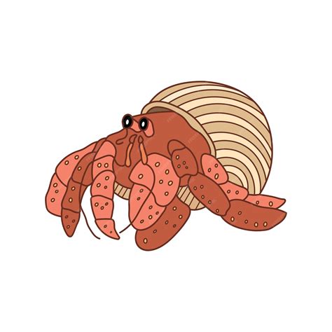 Premium Vector Cartoon Vector Illustration Cute Hermit Crab Icon