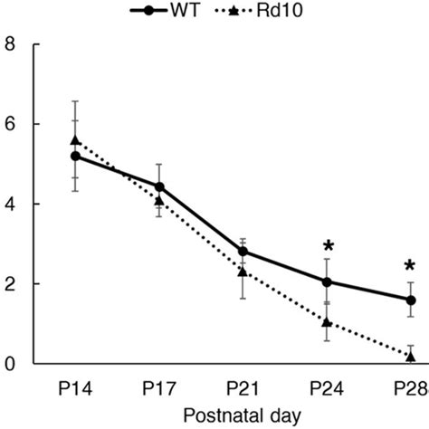 A Hyaloid Vasculature Density Measurements From Oct Datasets