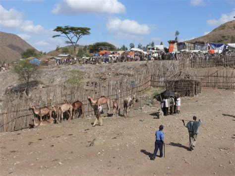 009et10 Free Image Hosting Service