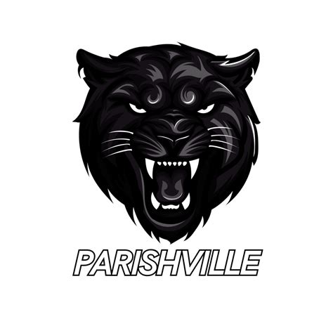 Parishville North Country Softball