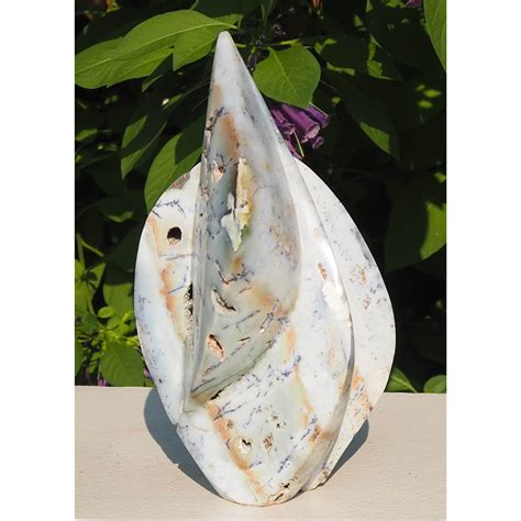 Delicate Flower Fillingdon