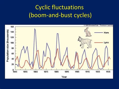 Population Dynamics Ppt Download