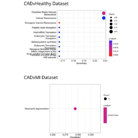 Dotplot Enrichment Maps For Both The Cadvhealthy And Cadvmi Gene Download Scientific Diagram