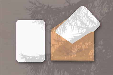 테이블의 난폭한 배경에 질감이 있는 백서 2장이 있는 봉투 식물 그림자가 있는 모형 오버레이 자연광이 가문비나무 가지에서 그림자를 투사합니다 0명에 대한 스톡 벡터 아트 및