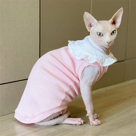 Sphynx Cat Clothes Sphynx Cat Tee Shirt Hairless Cat Clothes Etsy