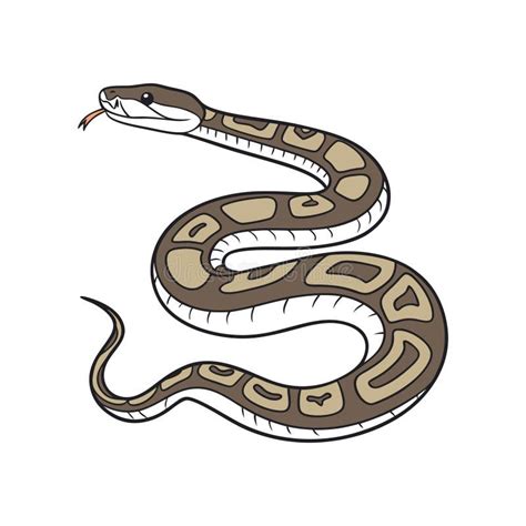 Lifelike Carpet Python Nature Graphic Stock Illustration Illustration