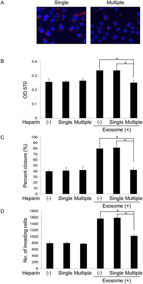 Effects Of Heparin On Oscc Cell Derived Exosome Induced Proliferation