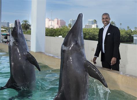 Still Reeling From Death Of Star Dolphin Aquarium Welcomes New Ceo To