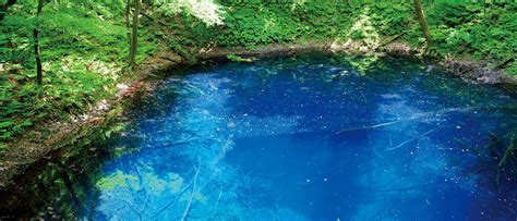圧倒的な美しさの青池と33の湖沼群 十二湖の森