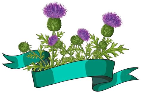 Thistle Border Images Free Download On Freepik