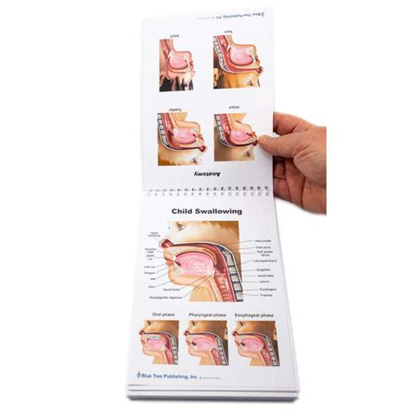 Swallowing Flip Chart