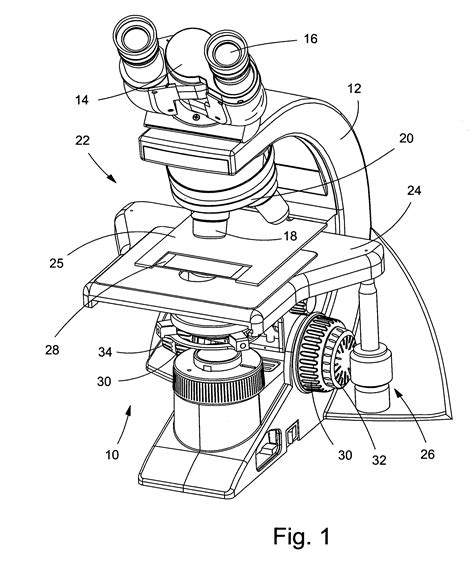 Light Microscope Drawing At Explore Collection Of