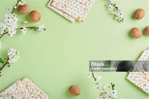 유월절 축하 개념입니다 Matzah 레드 코셔 와인 호두 및 만개 체리 또는 사과의 봄 아름다운 가지 밝은 녹색 배경에 전통적인 유대인 빵입니다 유월절 유대인 휴일 0명에