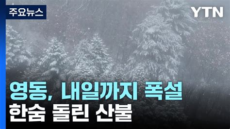 날씨 영동 내일까지 최고 20cm 폭설한숨 돌린 산불 Ytn Youtube
