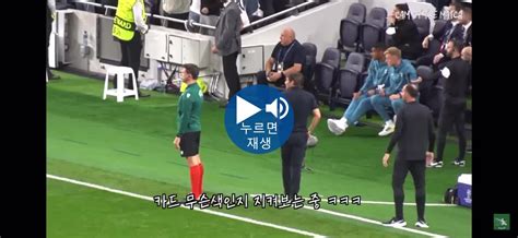 손흥민 퇴장 유도할 때 에메르송 따라하는 오스틴 유머움짤이슈 에펨코리아