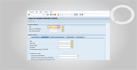 How To Check Authorizations In SAP Hicron