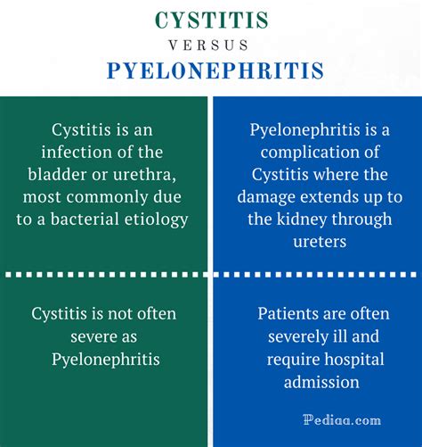 Difference Between Cystitis And Pyelonephritis Signs And Symptoms Cause Risk Factors