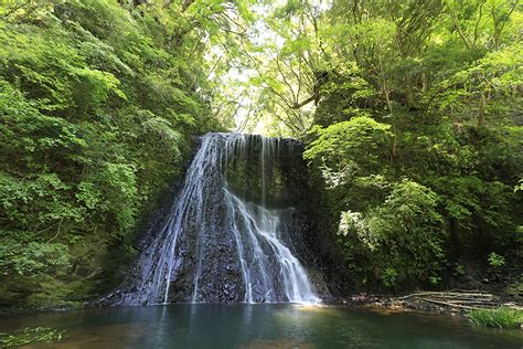 四方木 不動滝 カモ旅プラス心癒される旅 グルメレストランお店宿体験レジャー情報地域DMOかもがわ