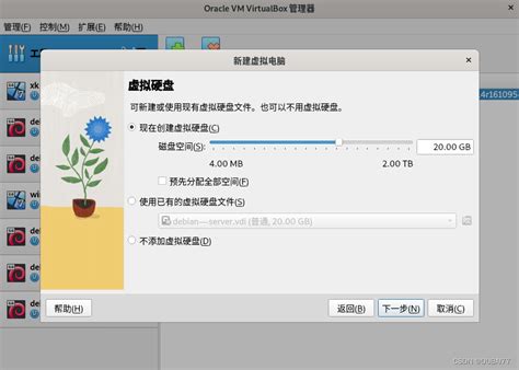 Linux Virtualbox Debian Virtualbox Debian Csdn