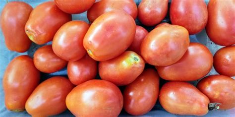 Tomato Heidi Seeds Naturally Grown Garden Hoard Naturally Grown