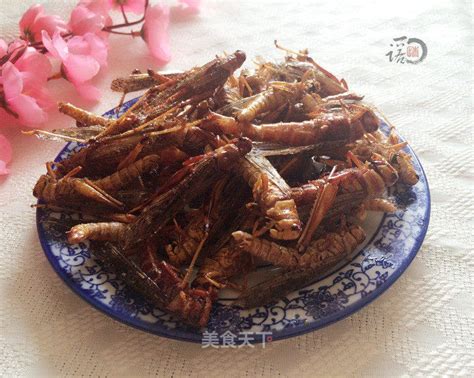 油炸蚂蚱的做法油炸蚂蚱怎么做情一诺的菜谱美食天下