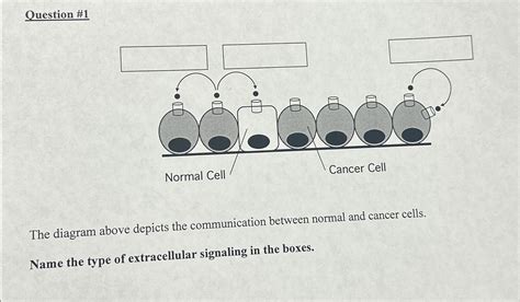 Solved Question The Diagram Above Depicts The Chegg