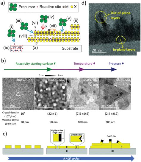A Schematic Illustration Of Some Specialties In Ald Of Tmdcs I Download Scientific Diagram