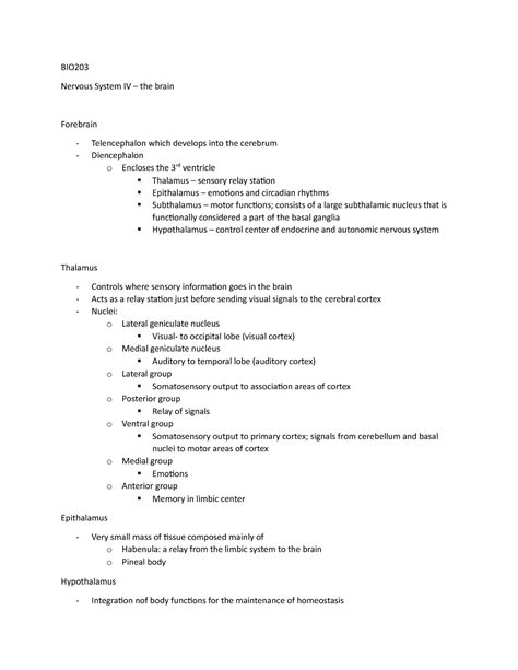 Nervous System IV Brain BIO Nervous System IV The Brain Forebrain