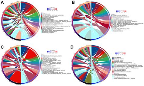 Integrative Analysis Links Autophagy To Intrauterine Adhesion And