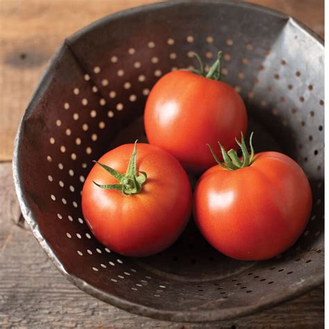 Rubee Dawn F1 Tomato Seed Johnnys Selected Seeds