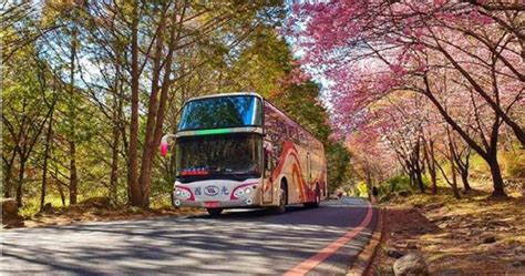 228連假出遊恐現車潮 省道11處「地雷路段」曝