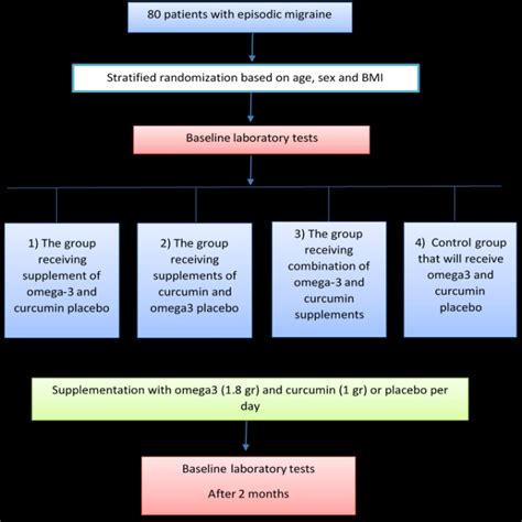 A Summary Of The Interventional Study Download Scientific Diagram