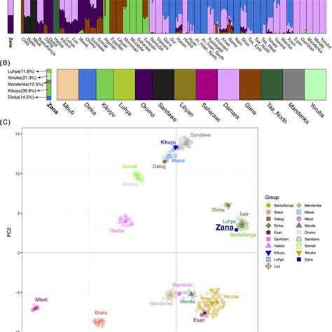 Pca And Admixture Analyses A Pca Analysis Of Zana Khwit Ho Panel Of Download Scientific