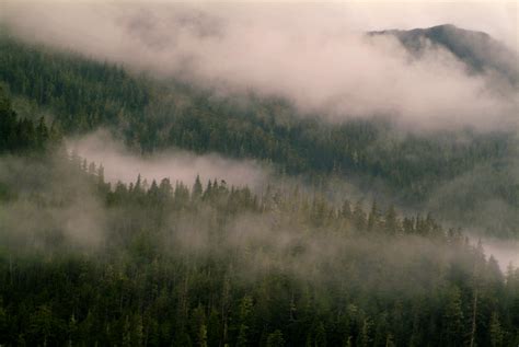 Alaska Triangle Facts Over 16000 People Have Gone Missing Since 1988