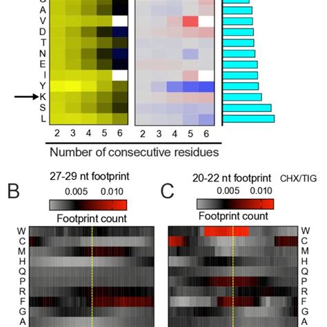 The Frequency Distribution And Effect On The Translation Of