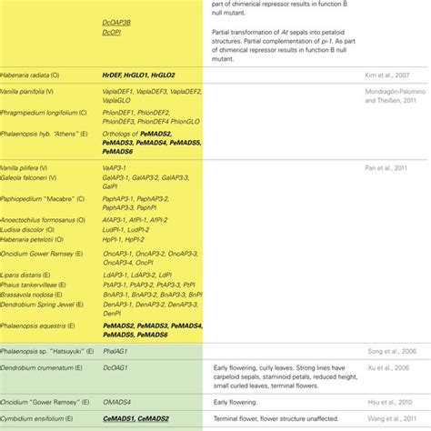 Class A B C D And E Mads Box Genes Characterized In Orchidaceae