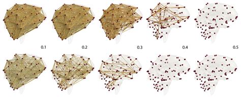 Correlation Network Filtration Thresholded At The Indicated Correlation Download Scientific