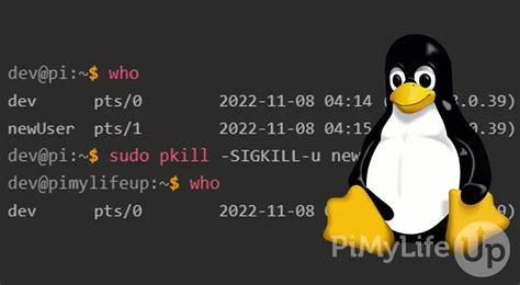 How To Logout A User On Linux Pishop Blog