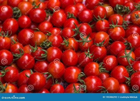 Lots Of Red Round Tomatoes With Green Cuttings Background Texture