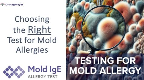 Mold Allergy Vs Mycotoxin Toxicity Is There A Difference Dr Hagmeyer