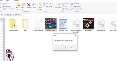 Unable To Initialize Steam Api