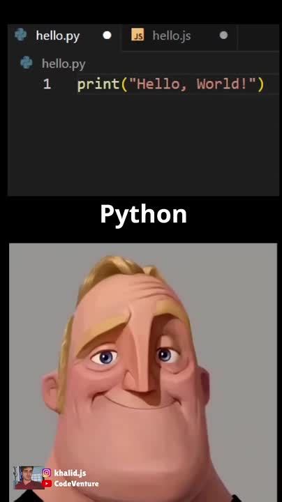 Differences Between Programming Languages Sweeta Habibi