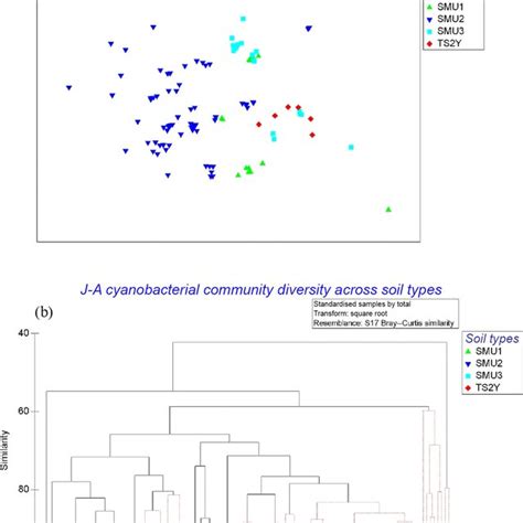 A Cyanobacterial Community Structure Based On Indexed Abundance And Download Scientific