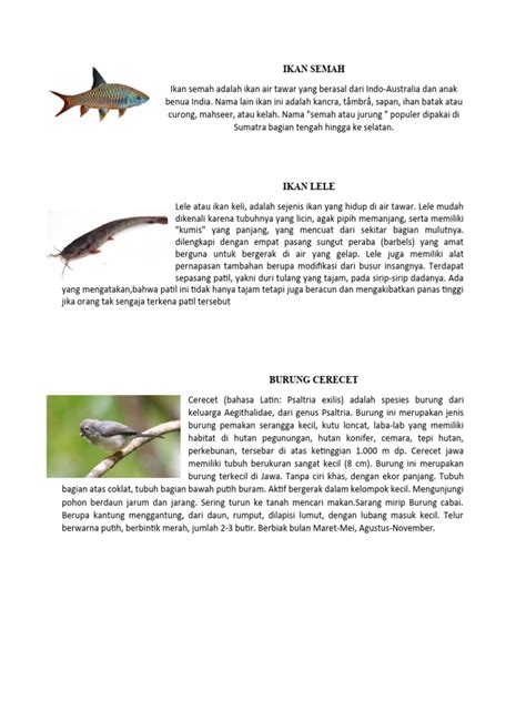 tugas plh pdf