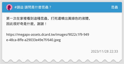 請益 請問是什麼昆蟲？ 昆蟲板 Dcard