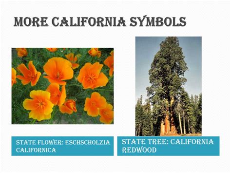 Ppt California Powerpoint Presentation Free Download Id 3130097