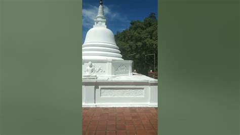 ඔයාලත් එන්න සන්කපාල Youtube