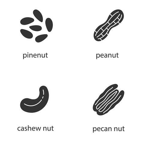 Nuts Types Glyph Icons Set Silhouette Symbols Pinenut Peanut Cashew Pecan Nut Vector