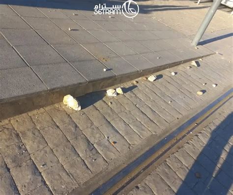Le tramway d Alger saccagé par des supporters Algerie Eco