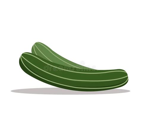 Cucumber Nutrition Facts Stock Vector Illustration Of Slice 54331712